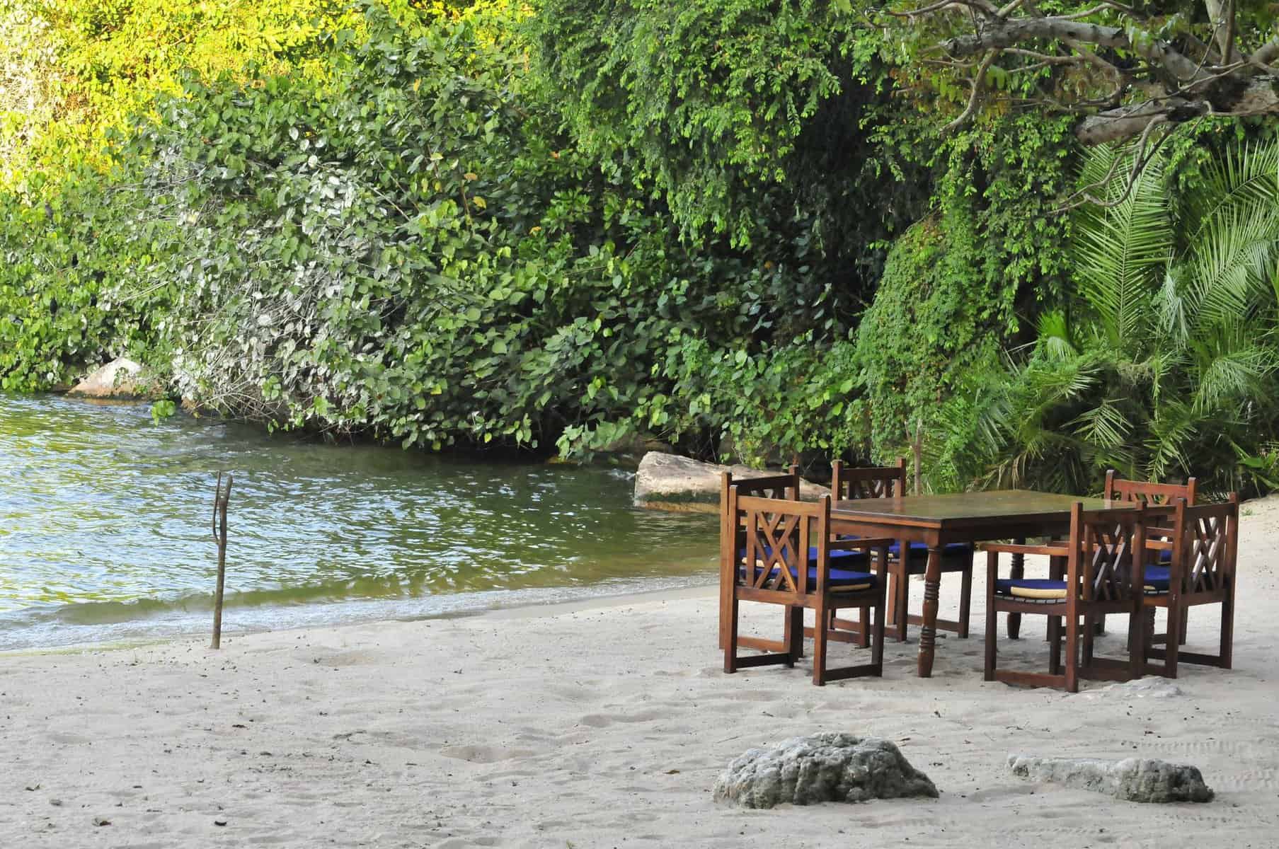 Rubondo Island National Park: Tanzania's Hidden Gem for Wildlife and ...